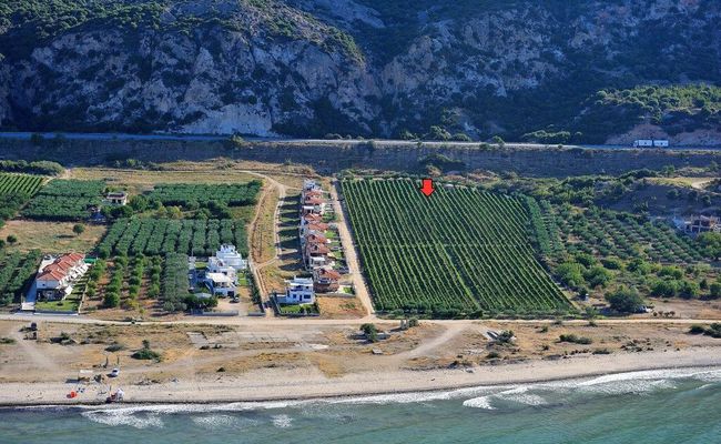 Teren construibil 20.000 mp, primă linie la mare – Kariani - IMOPEDIA.RO